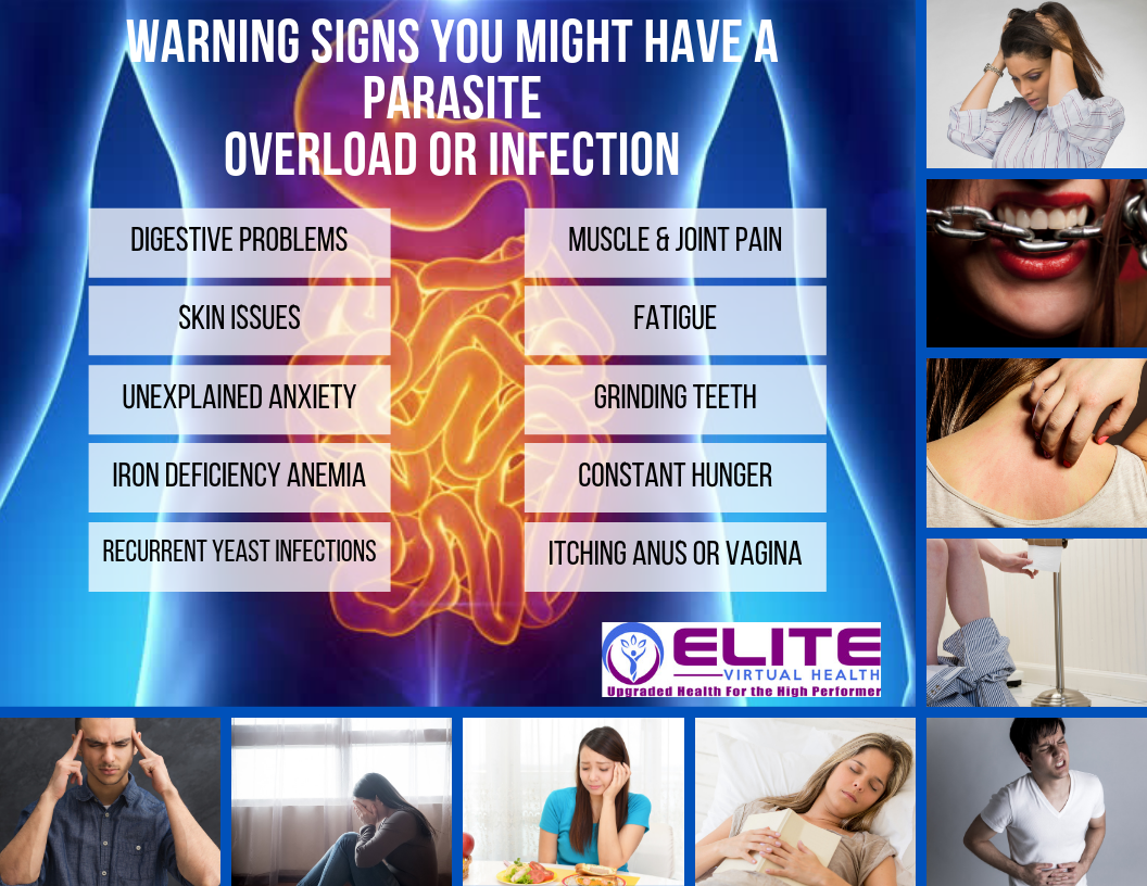 What you should know about Parasites in your body! - Back to Health ...